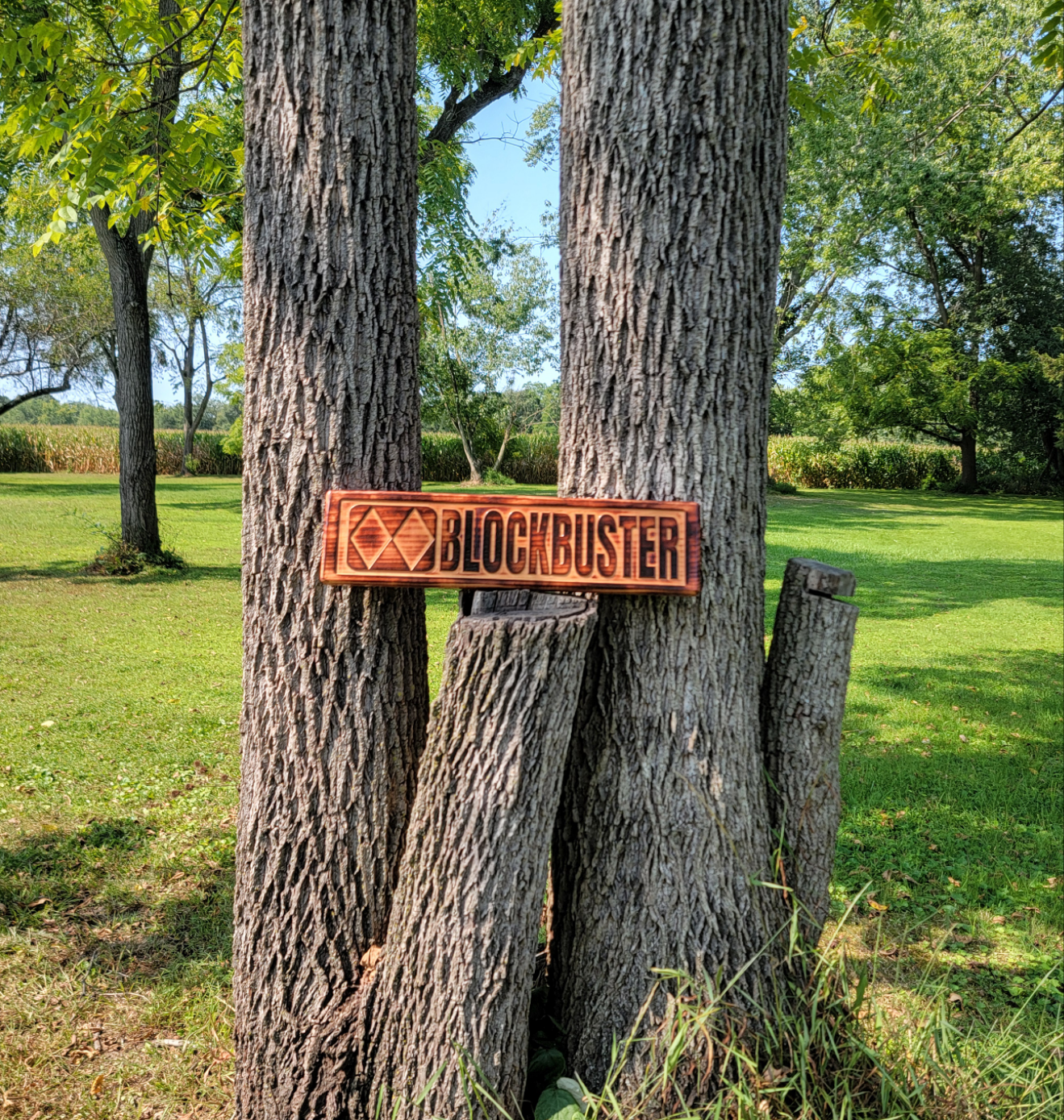 Block Buster Trail Sign – SkiBumCustoms